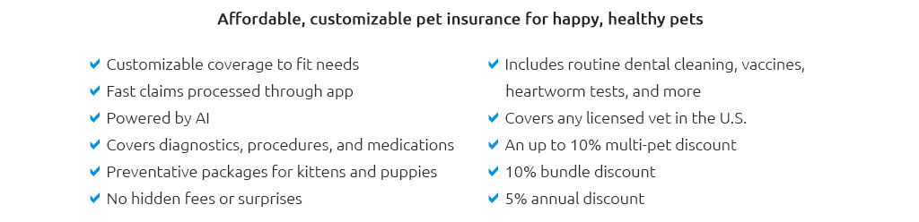 Pets health insurance: Finding the Best Coverage for You